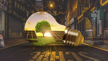 Understanding QBCC License Requirements for Fire Professionals