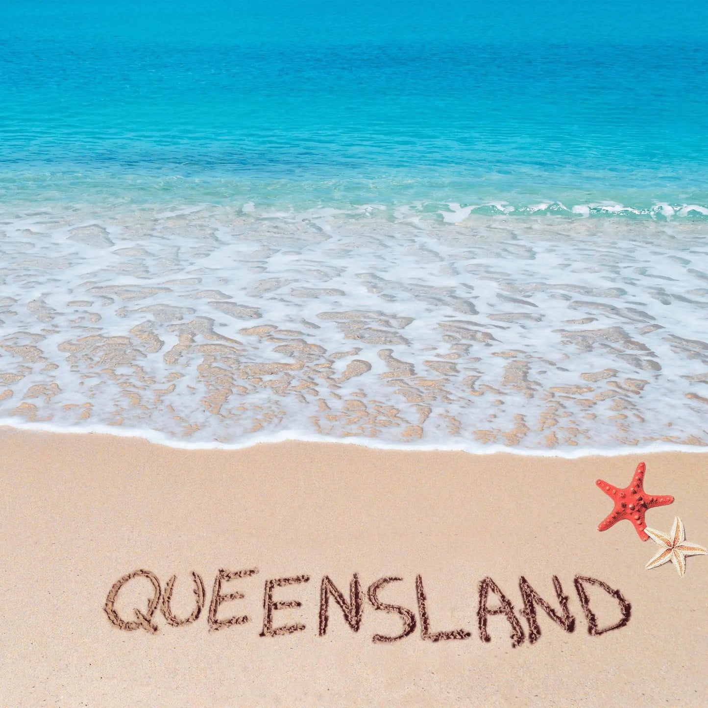 BSBESB402 – QBCC Managerial Course